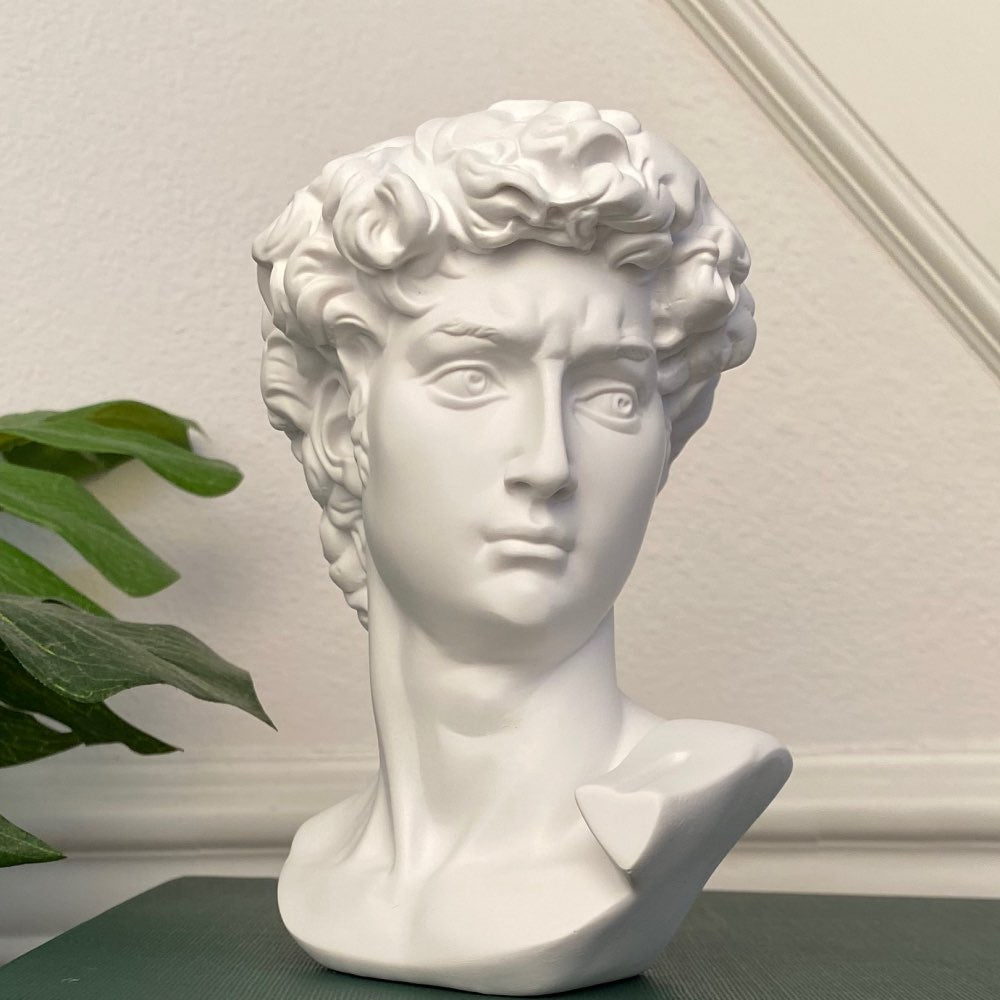 Michelangelo David Statue | Floral Fawna