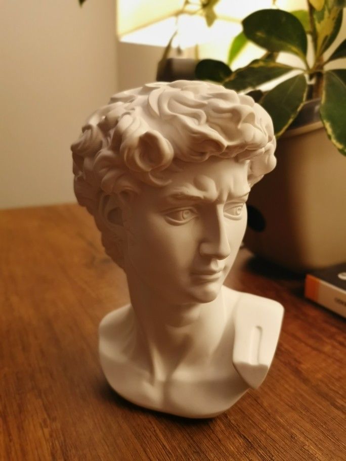 Michelangelo David Statue | Floral Fawna